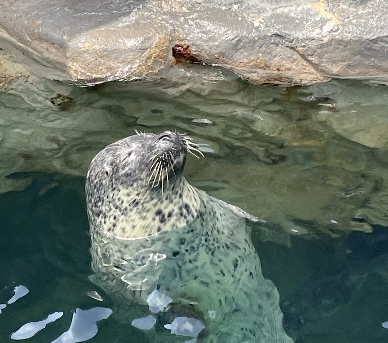 D59A522D-44A5-4F1F-BB23-92E235CD04C1 | Life is Beautiful‼︎